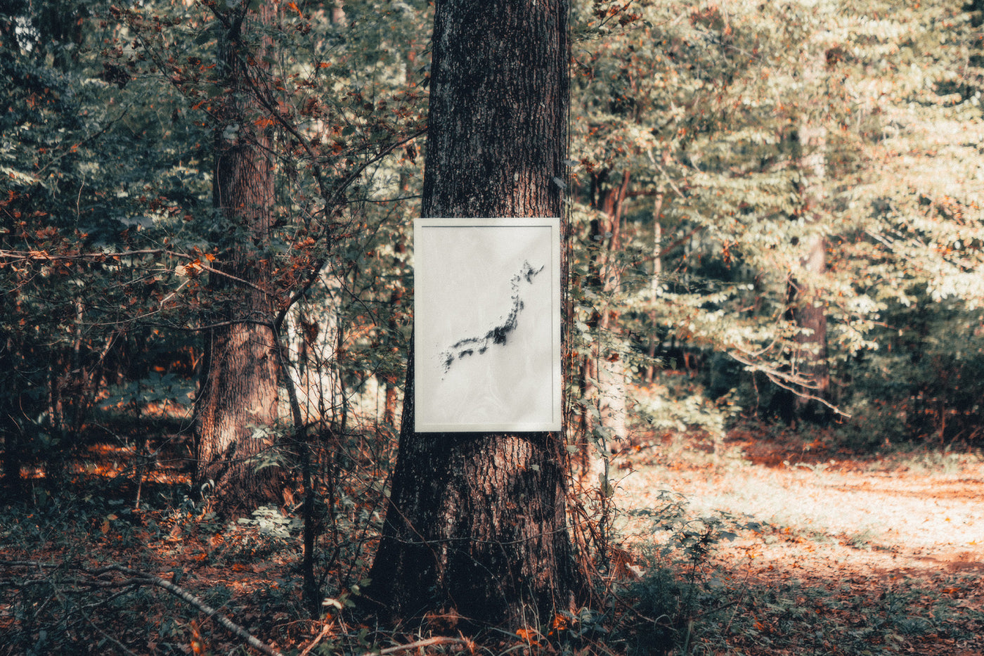 Elevation Maps & Topographic Wall Art Prints For Home Decor – East Of ...